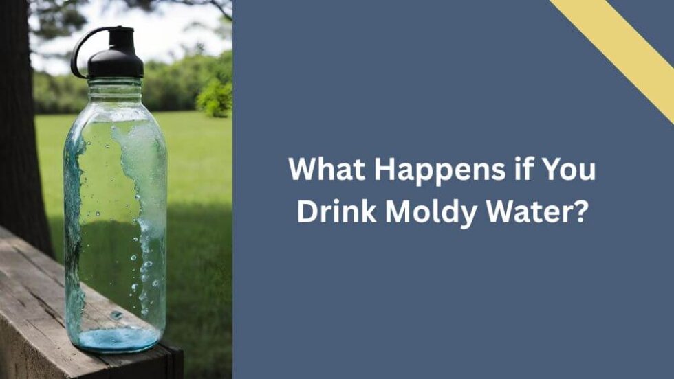 Drinking Moldy Water? Here’s What It Could Do To Your Body!